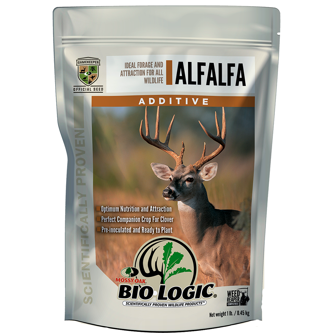 Alfalfa Seed For Deer Alfalfa Food Plot Seed For Sale alfalfa-seed-for-deer-alfalfa-food-plot-seed-for-sale