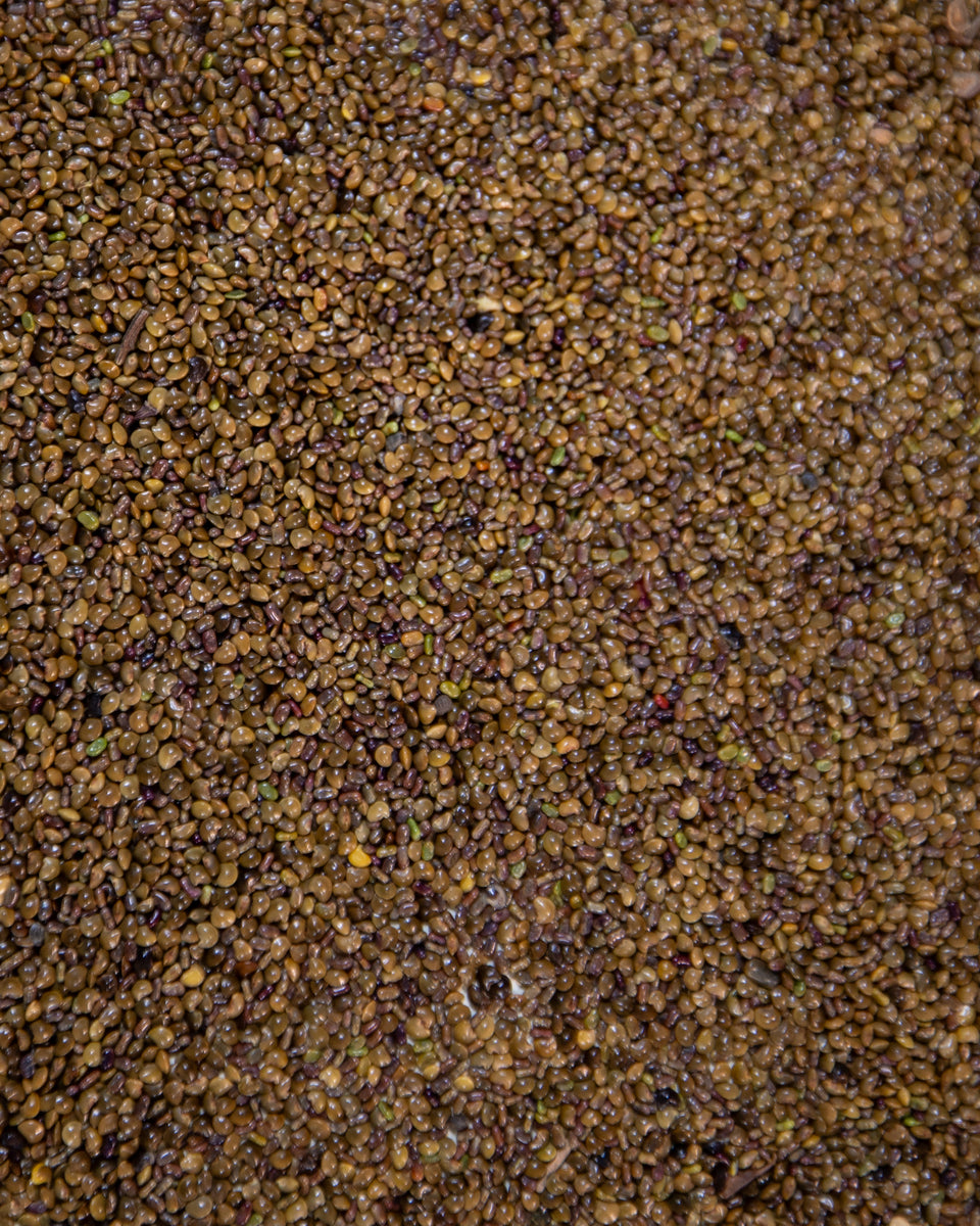 Deer Vetch Plus Food Plot Seed (10 lbs. or 40 lbs.)