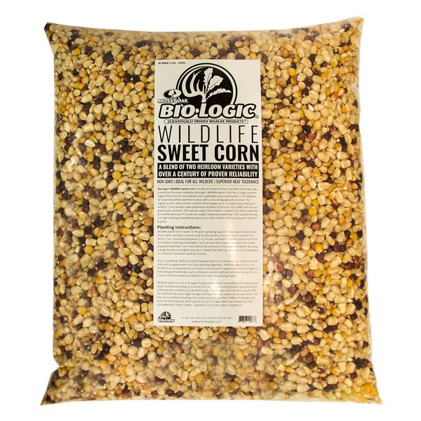 Wild Corn Corn New Mama Super Sweet SEEDS Le Potager Ornemental De