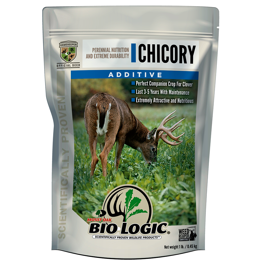 Chicory Food Plot Seed Additive | Plant BioLogic
